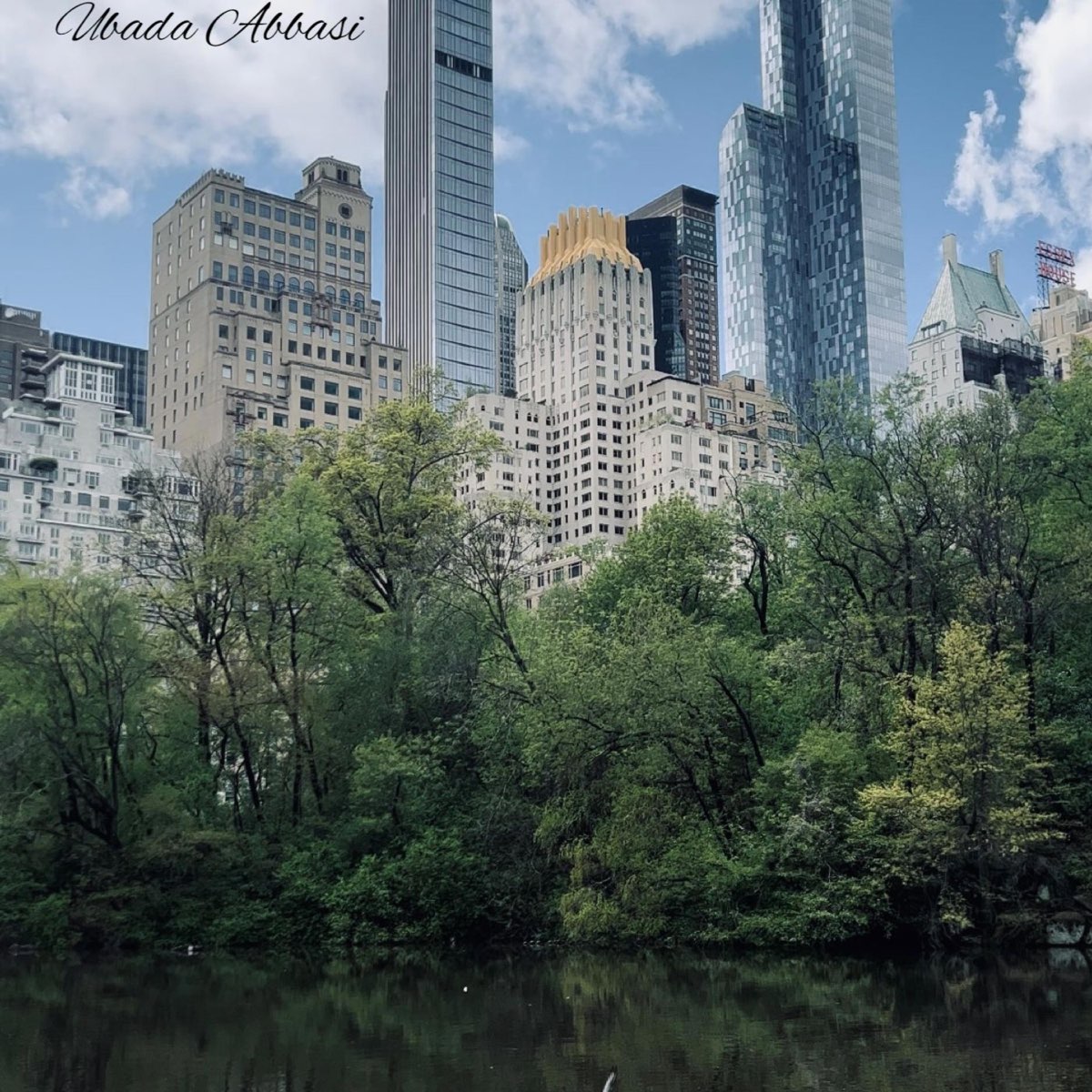 ‎Humsafar - Single - Album by Ubada Abbasi - Apple Music