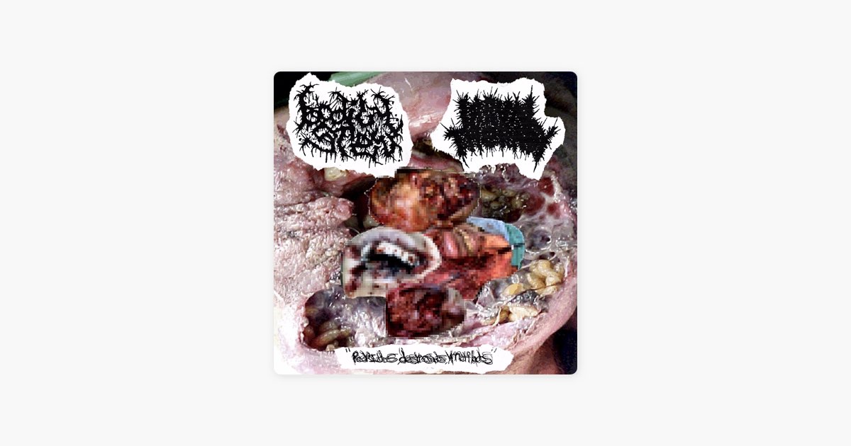 ‎Bullet In My Brain - Song by Larval Therapy - Apple Music