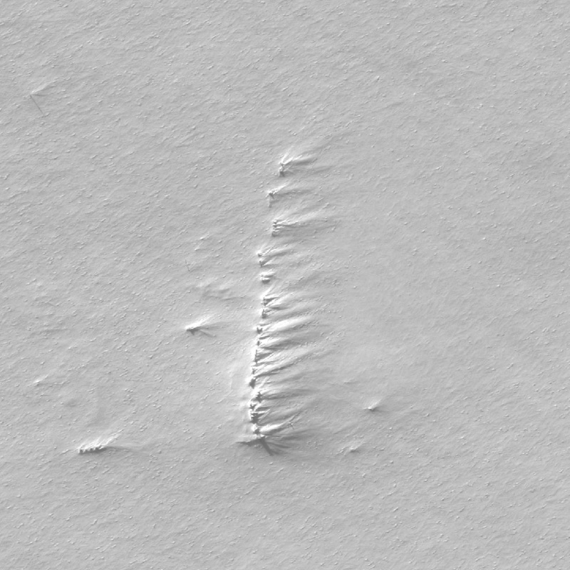 Funkinstankopolis (Remastered Version) - OCnotes: Song Lyrics, Music ...