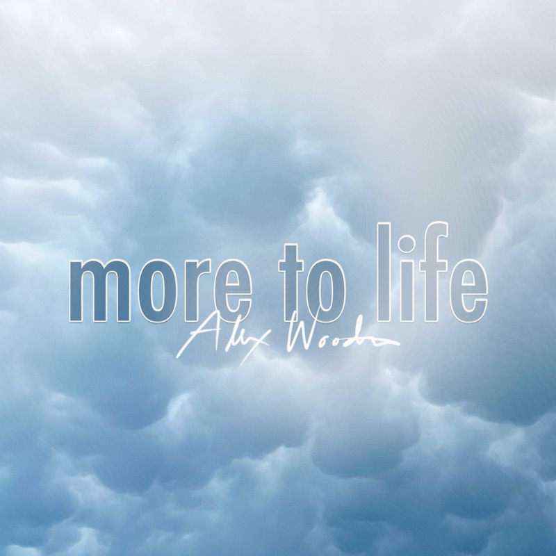 more to life (Brahmananda Swarupa) - Alex Woodrow: Song Lyrics, Music ...
