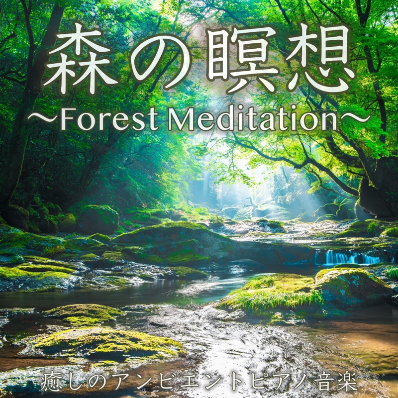 Piano Forest Bathing Healing World Line - DJ Meditation Lab. Zen: Song ...