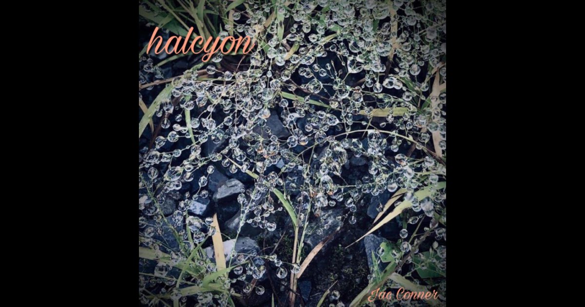 ‎Halcyon - Álbum de Jac Conner - Apple Music