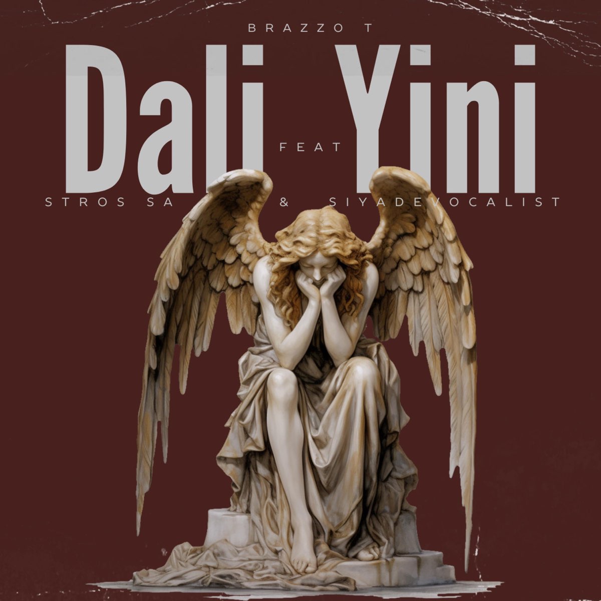‎Dali Yini (feat. Stros SA & Siyadevocalist) - Single - Album by Brazzo ...