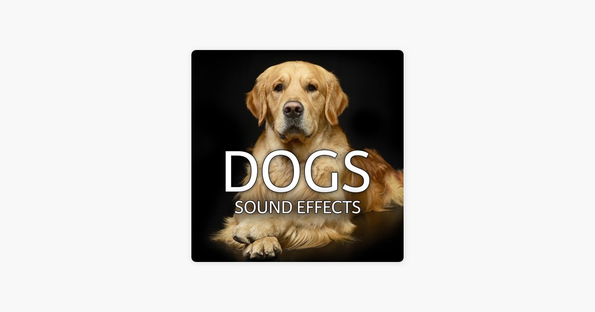 Dogs Sound Effects” álbum de Sound Ideas en Apple Music