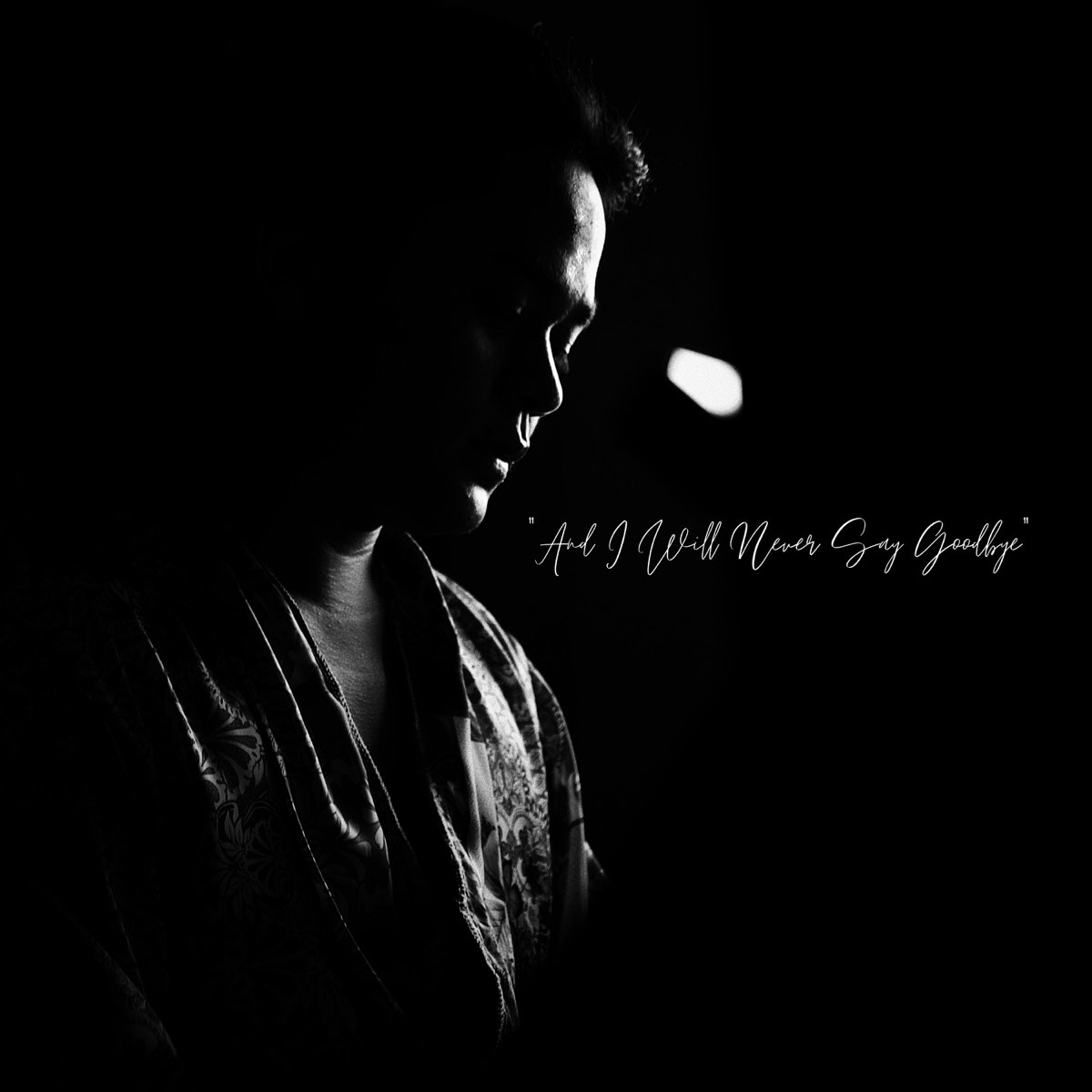 ‎And I Will Never Say Goodbye - Single - Album by King Anis - Apple Music