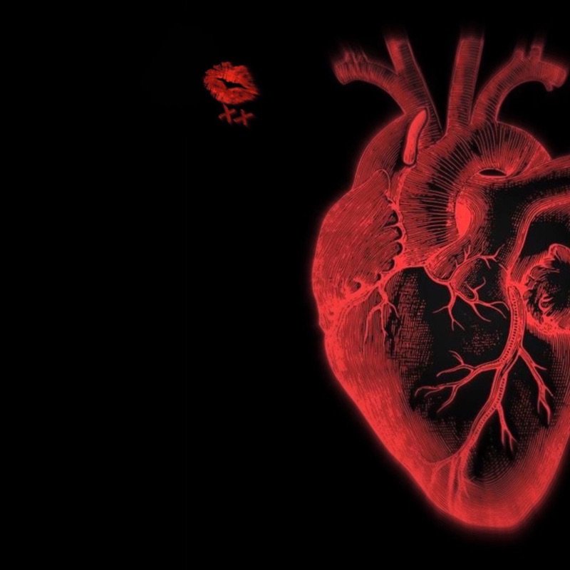 Te Volviste Una Obsesiòn - Edwin Leal: Song Lyrics, Music Videos & Concerts