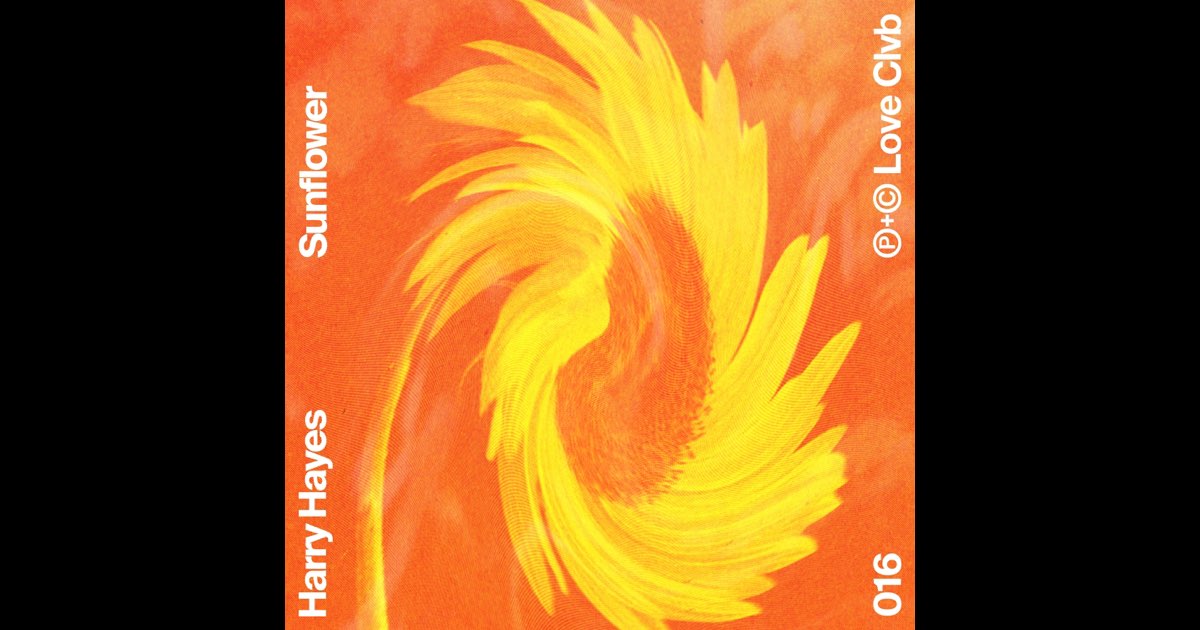 ‎Sunflower - Single – álbum de Harry Hayes – Apple Music