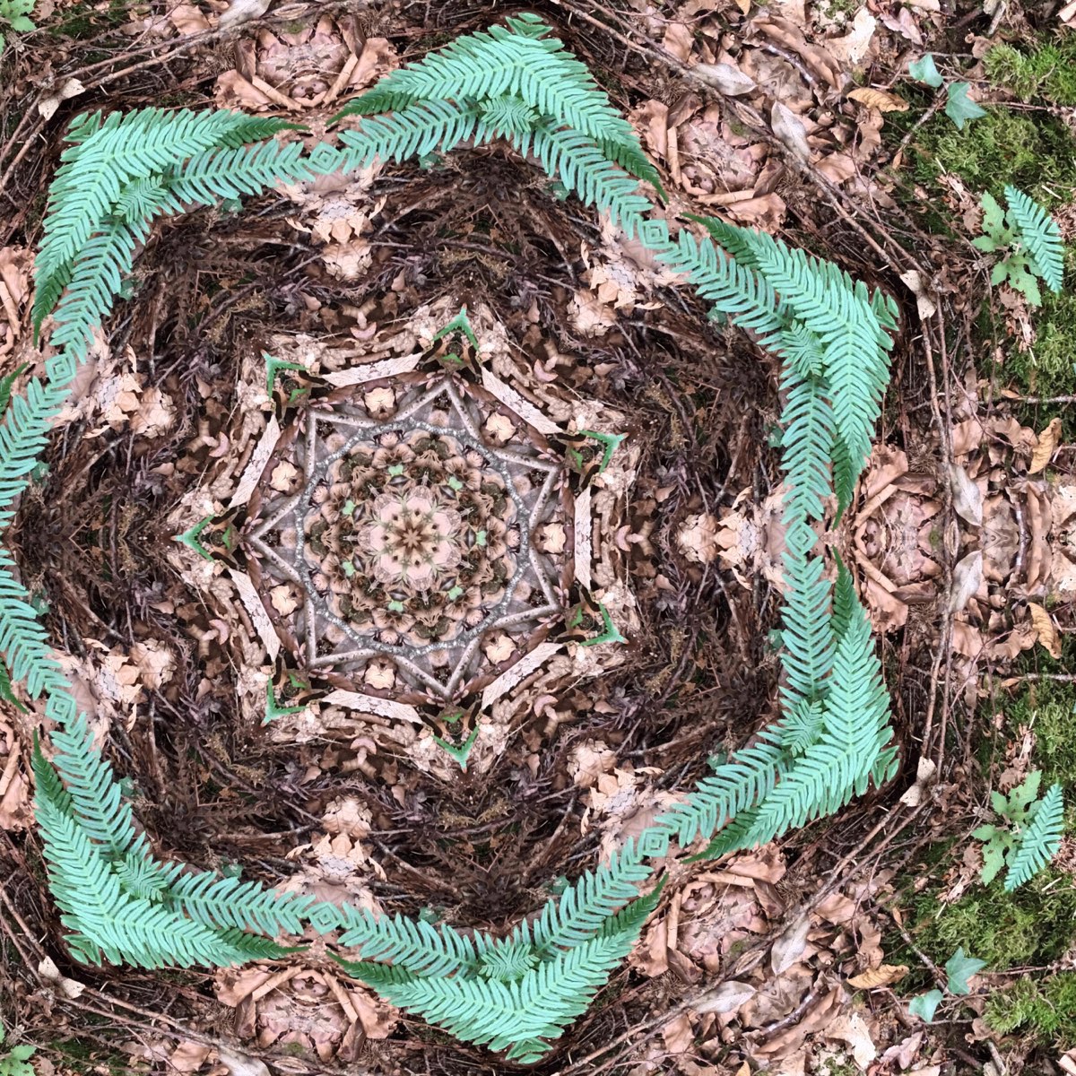 ‎Om Aim Hreem Kleem Chamundaye Vichche (A powerful mantra that ...