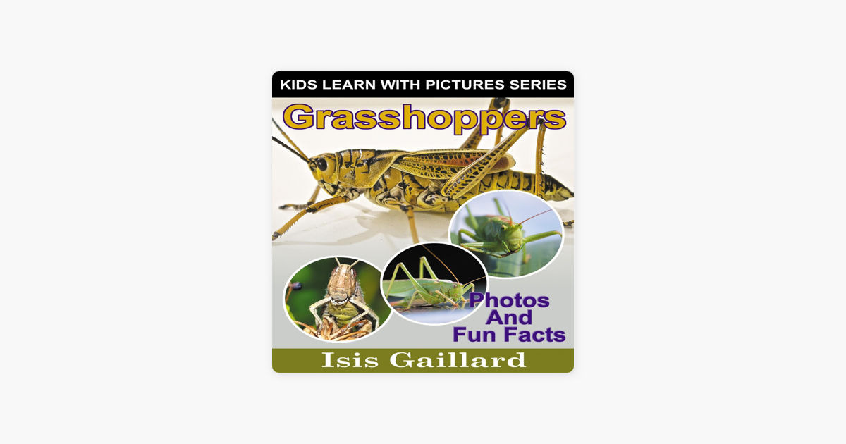 ‎Grasshoppers: Photos and Fun Facts for Kids: Kids Learn with Pictures ...