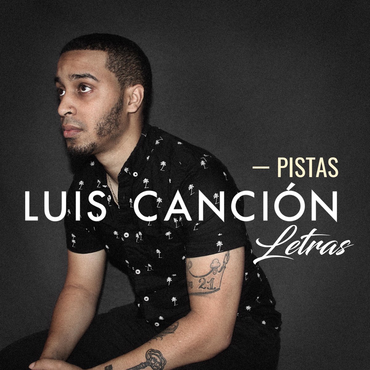 ‎LETRAS (Pistas) - Album by Luis Canción - Apple Music