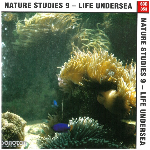 ‎Nature Studies, Vol. 9: Life Undersea by Otto Sieben - Apple Music ...
