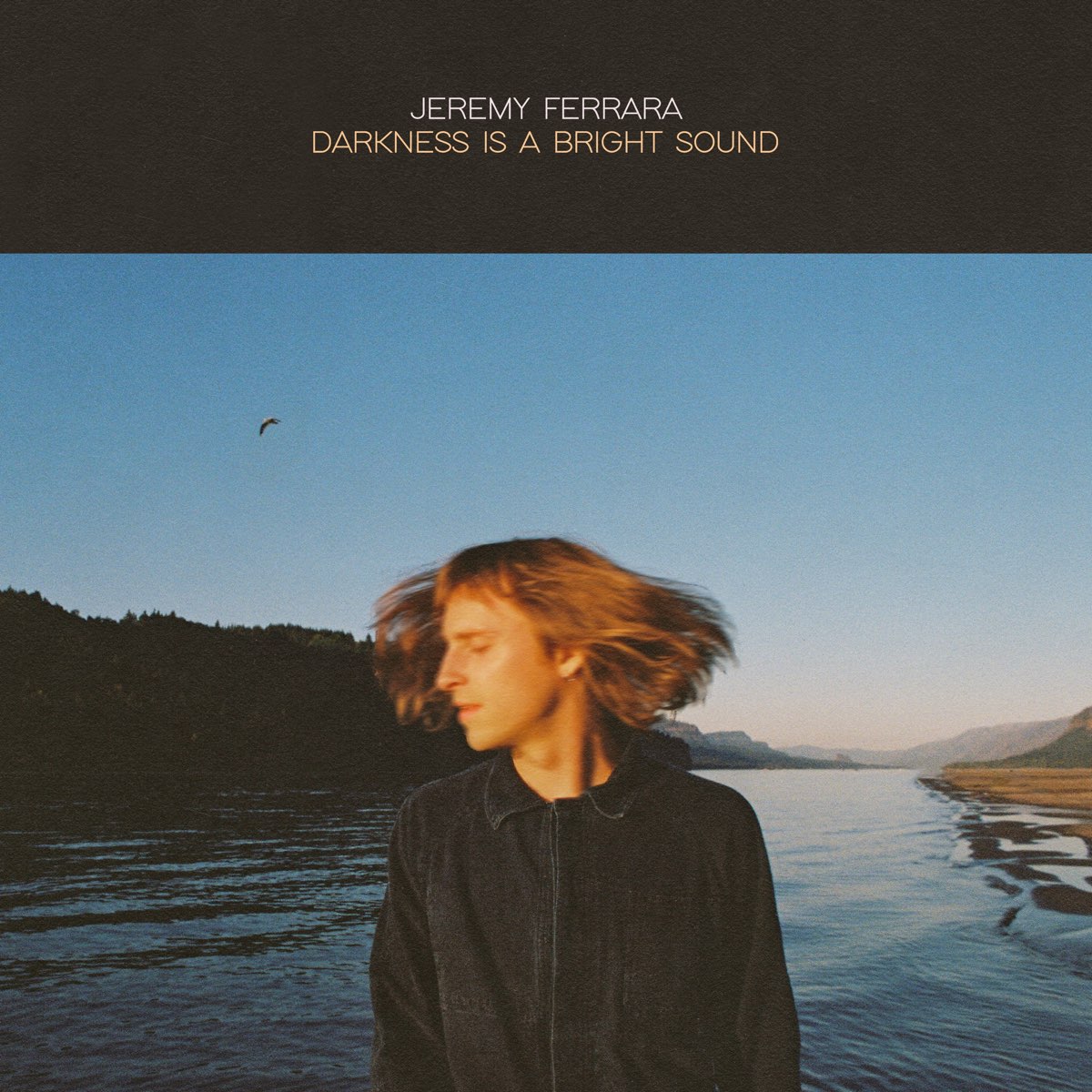 ‎Darkness Is a Bright Sound - Album by Jeremy Ferrara - Apple Music