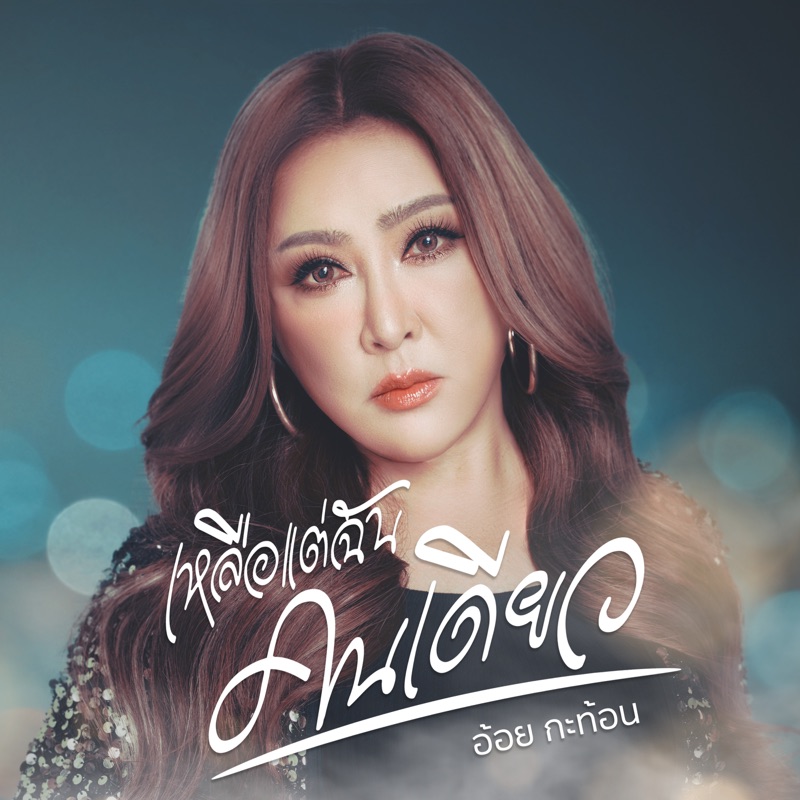 เหลือแต่ฉันคนเดียว อ้อย กะท้อน Song Lyrics Music Videos And Concerts