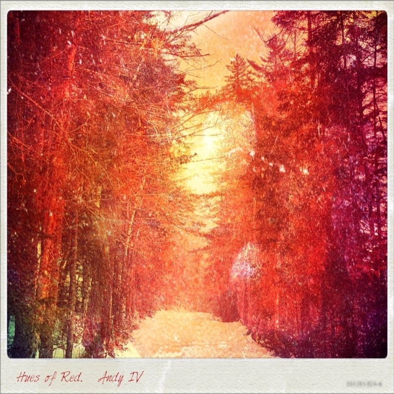 Gen-Z Machine - Andy IV: Song Lyrics, Music Videos & Concerts