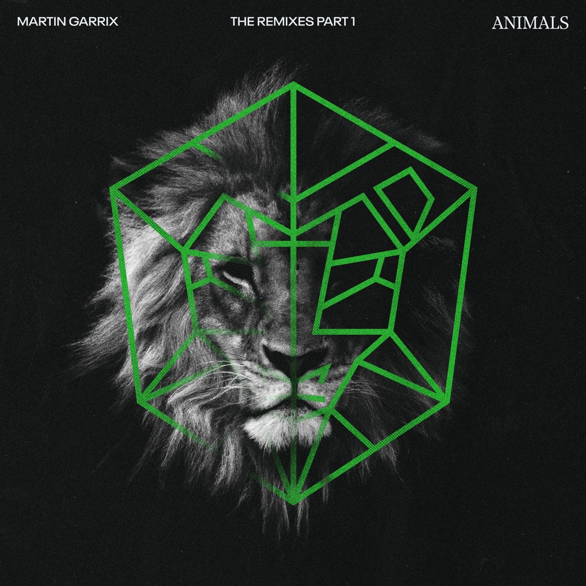 ‎Animals (The Remixes, Pt. 1) - Single – Album von Martin Garrix ...