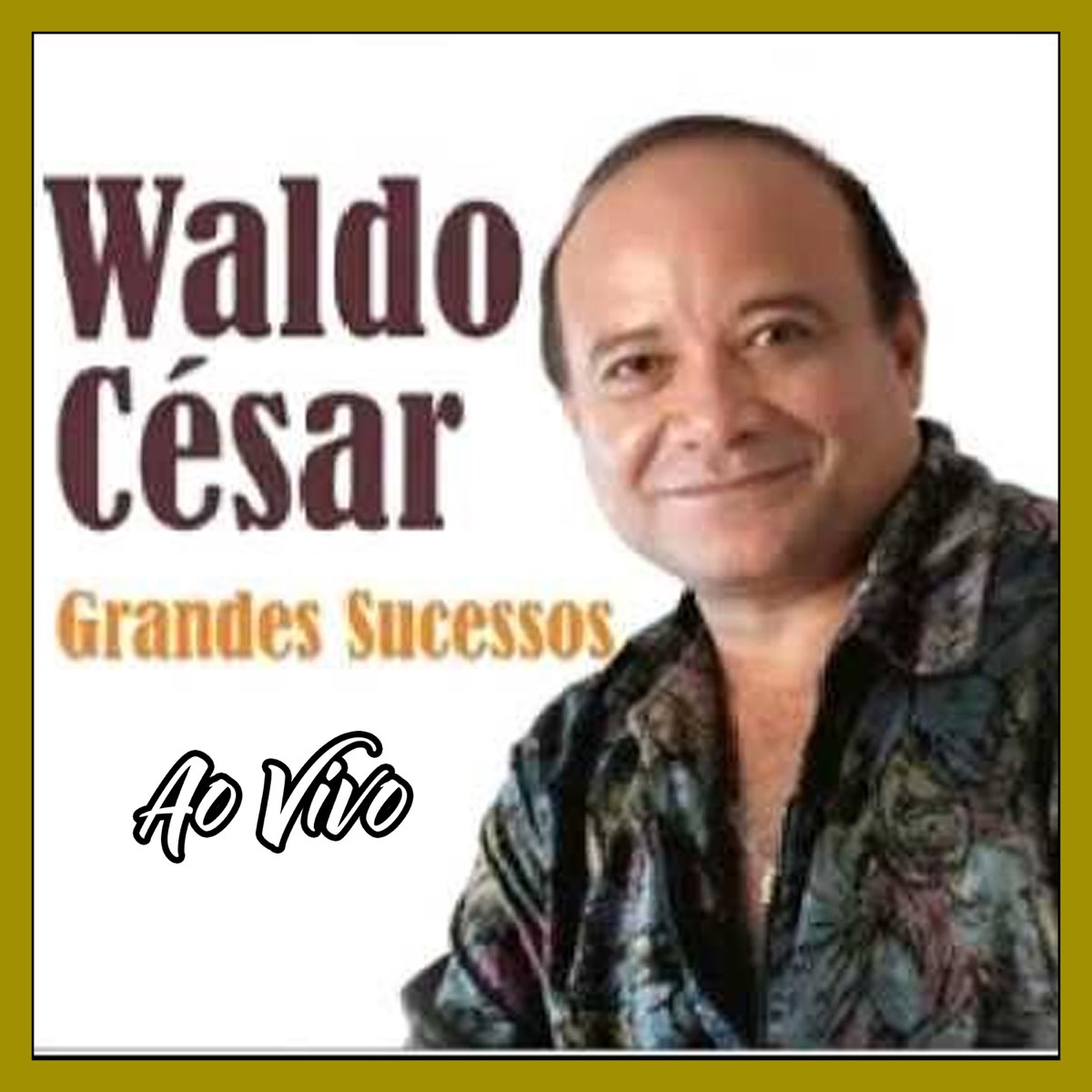 ‎GRANDES SUCESSOS - AO VIVO — álbum de WALDO CÉSAR — Apple Music