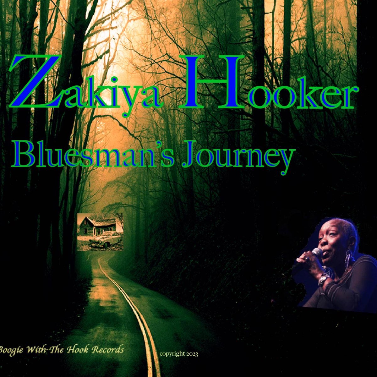 ‎Bluesman's Journey - Album by Zakiya Hooker - Apple Music