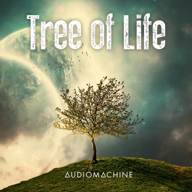 ‎Audiomachine的《Tree of Life》- Apple Music 古典乐