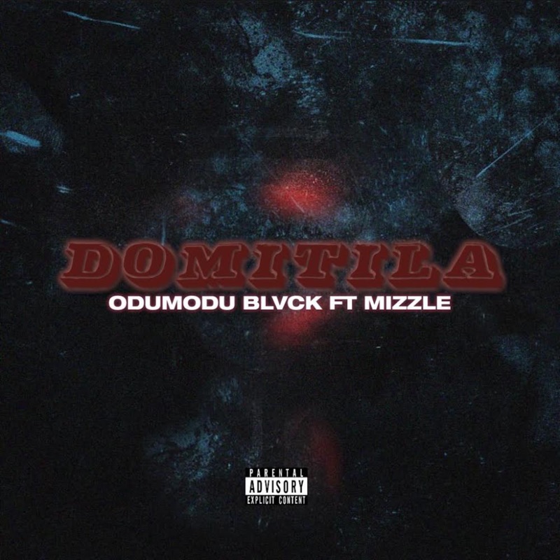Domitila (feat. Mizzle) - ODUMODUBLVCK: Song Lyrics, Music Videos ...