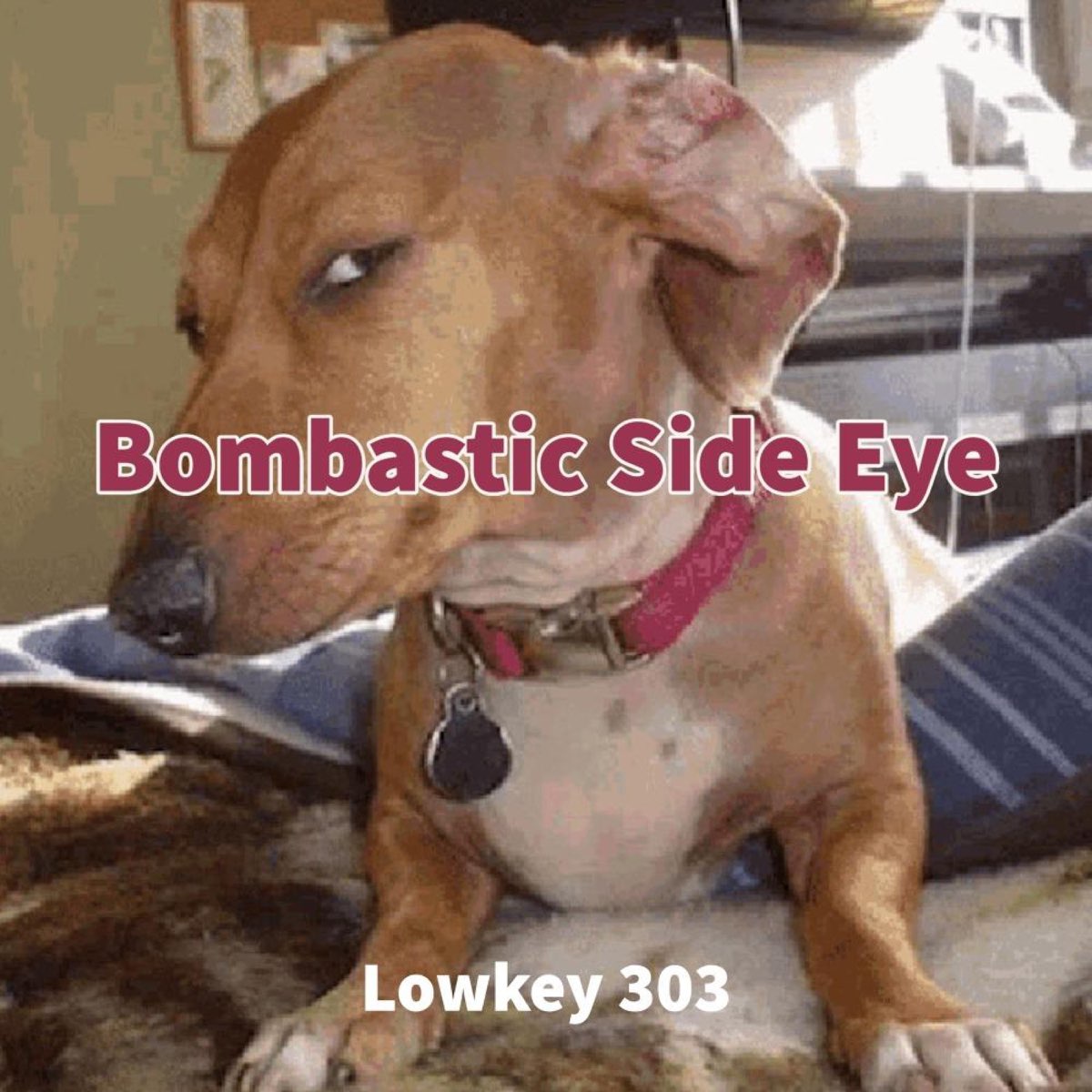 ‎Bombastic Side Eye - Single — álbum de Lowkey 303 — Apple Music