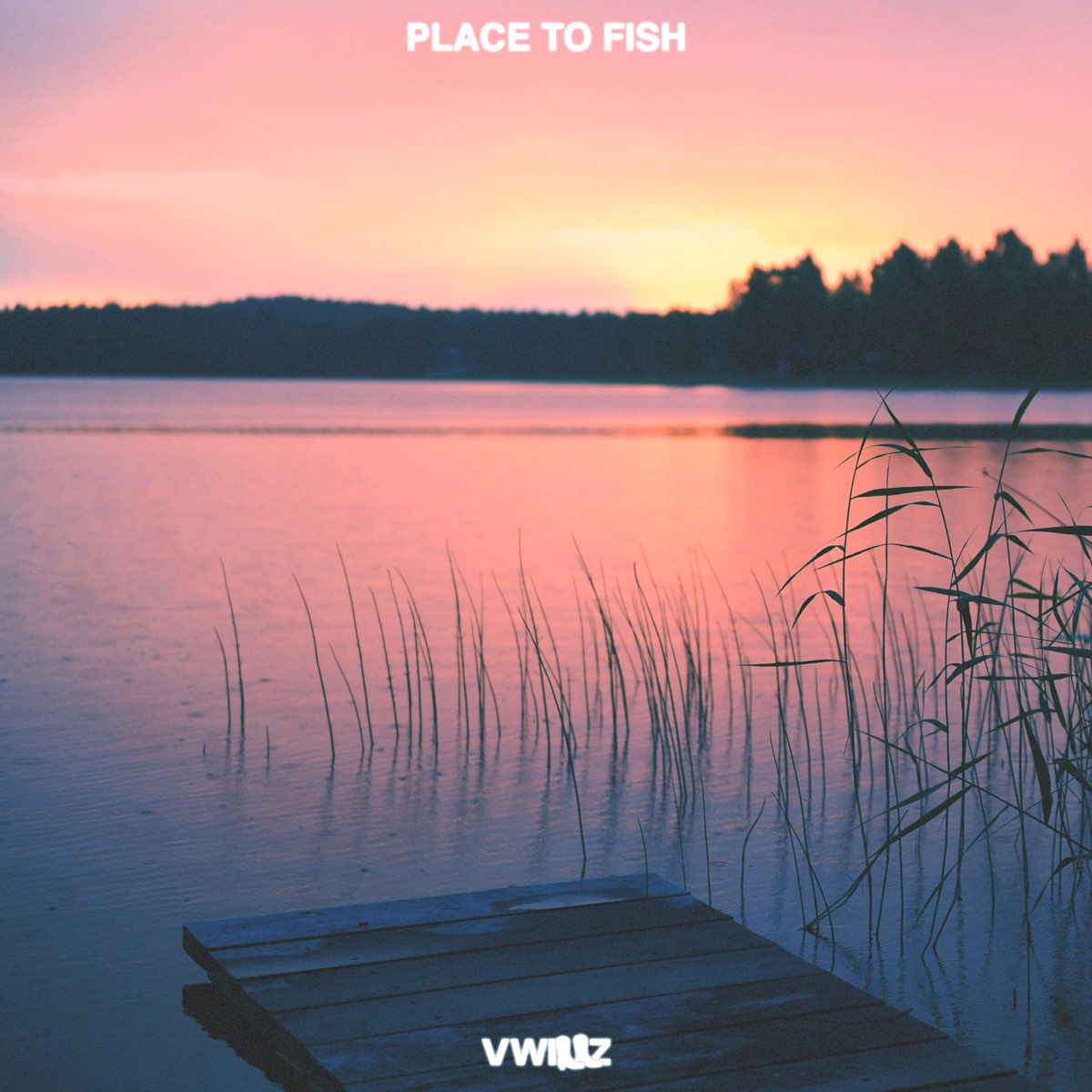 ‎Place To Fish - Single - Album by Vwillz - Apple Music