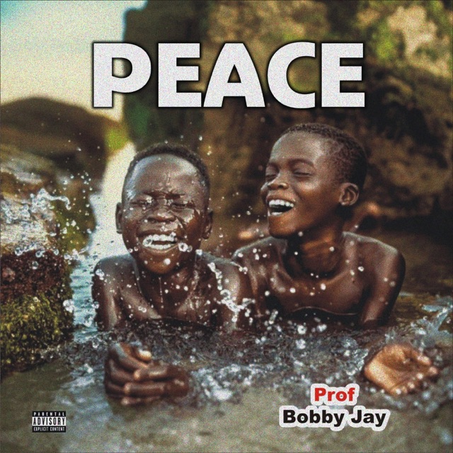 Peace by Prof Bobby jay | Listen on Apple Music, Amazon, Tidal | PUSH.fm