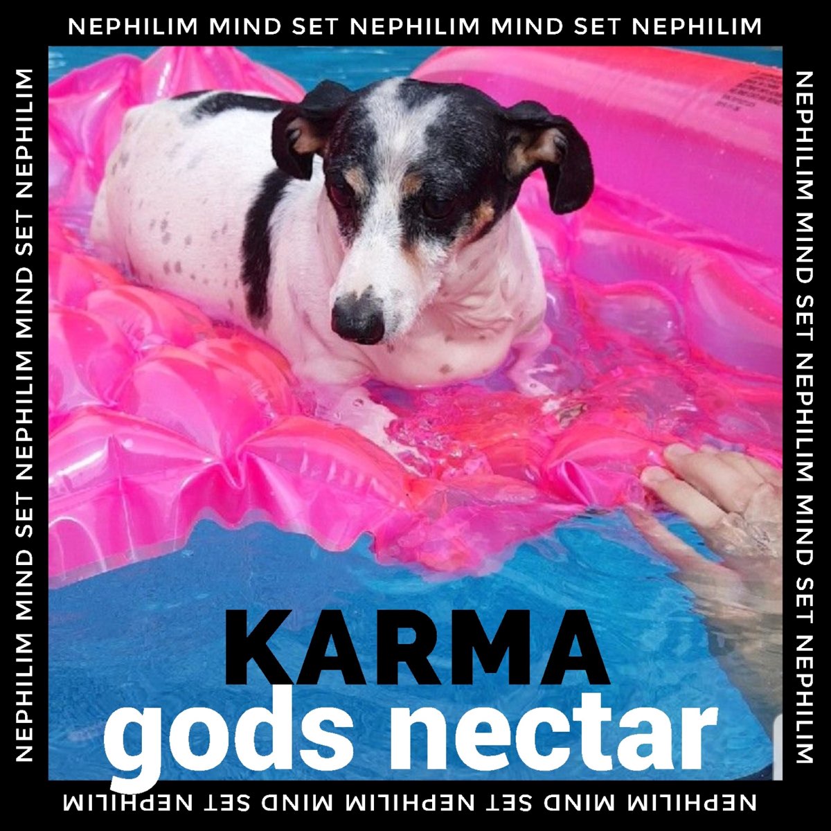 ‎KARMA gods nectar - Nephilim Mindsetのアルバム - Apple Music