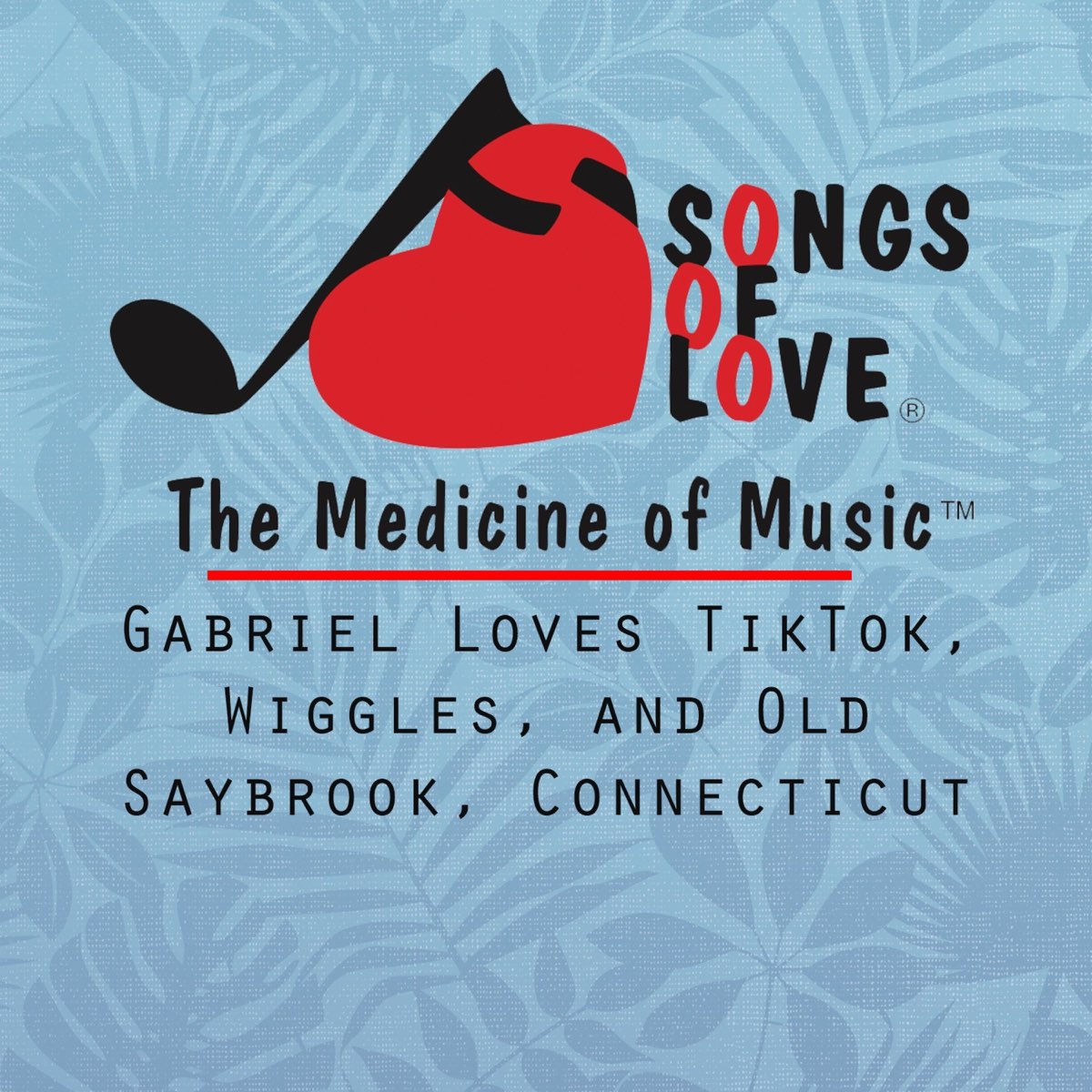 ‎Gabriel Loves TikTok, Wiggles, And Old Saybrook, Connecticut - Single ...