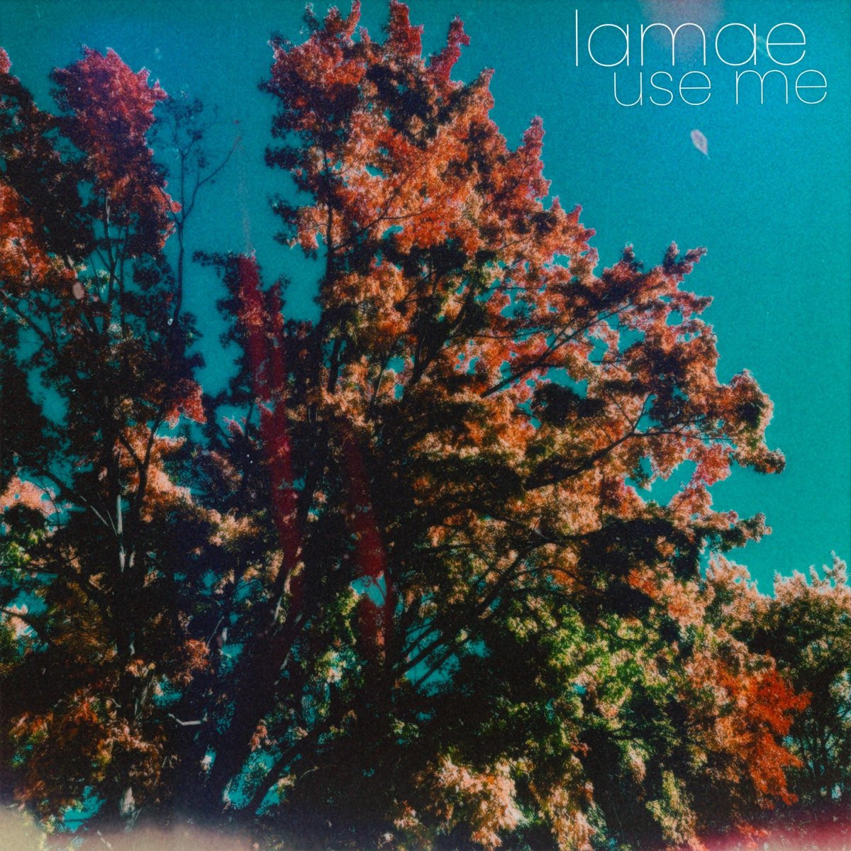 ‎Use Me - Single - Album by LaMae - Apple Music
