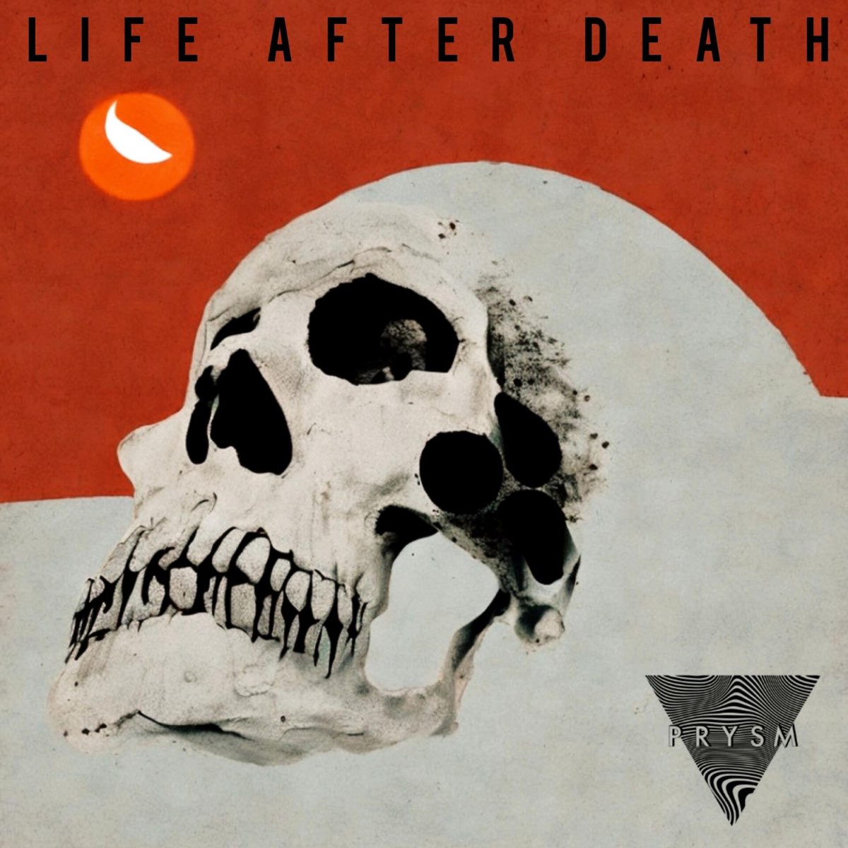 Life After Death Album Cover