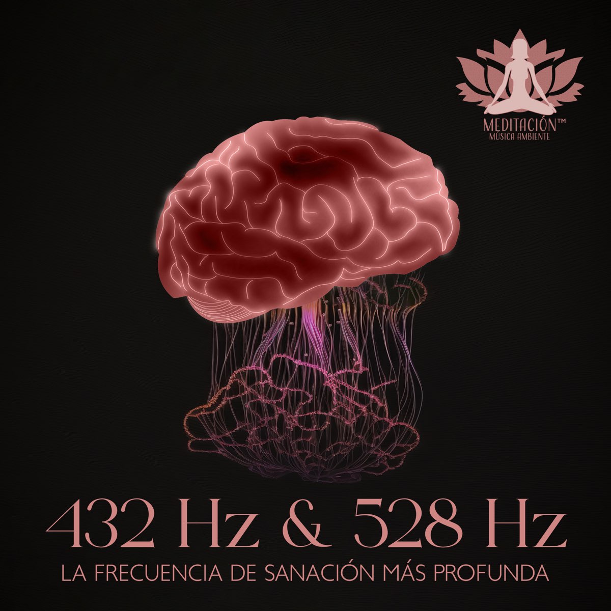 432 Hz And 528 Hz La Frecuencia De Sanación Más Profunda Album By