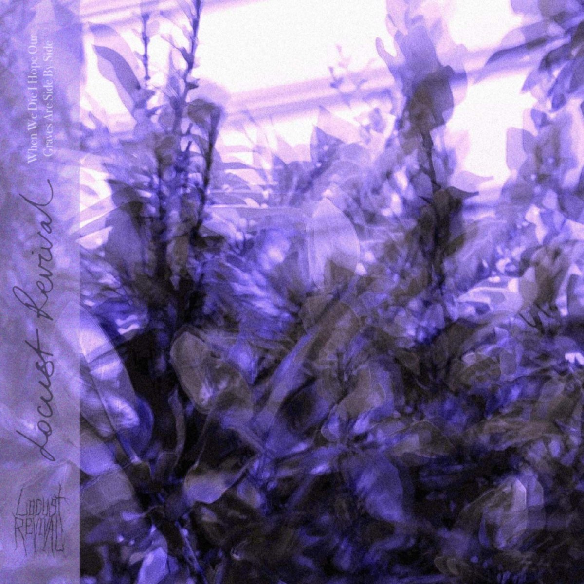 ‎When We Die I Hope Our Graves Are Side by Side - Album by Locust ...