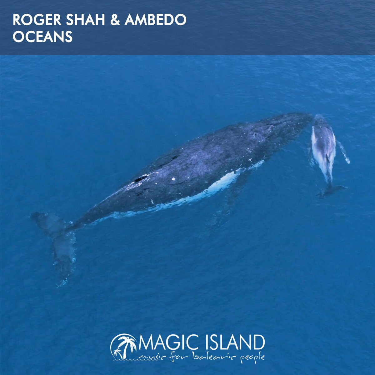 ‎Oceans - EP – Album von Roger Shah, Ambedo & Sunlounger – Apple Music