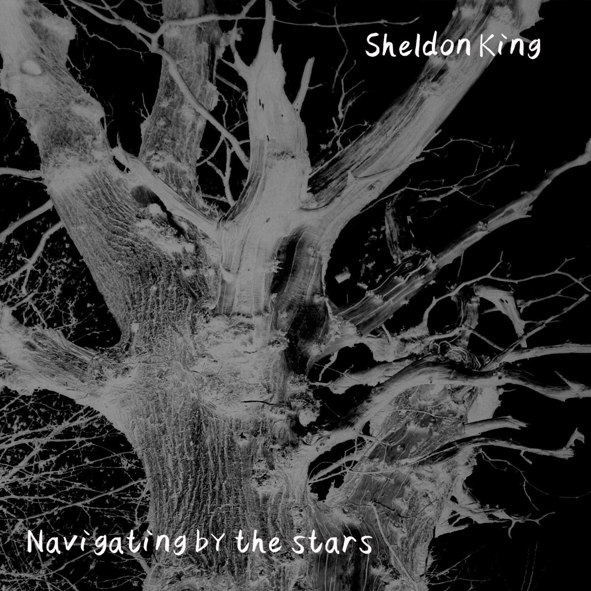 ‎Navigating by the Stars - Sheldon Kingのアルバム - Apple Music