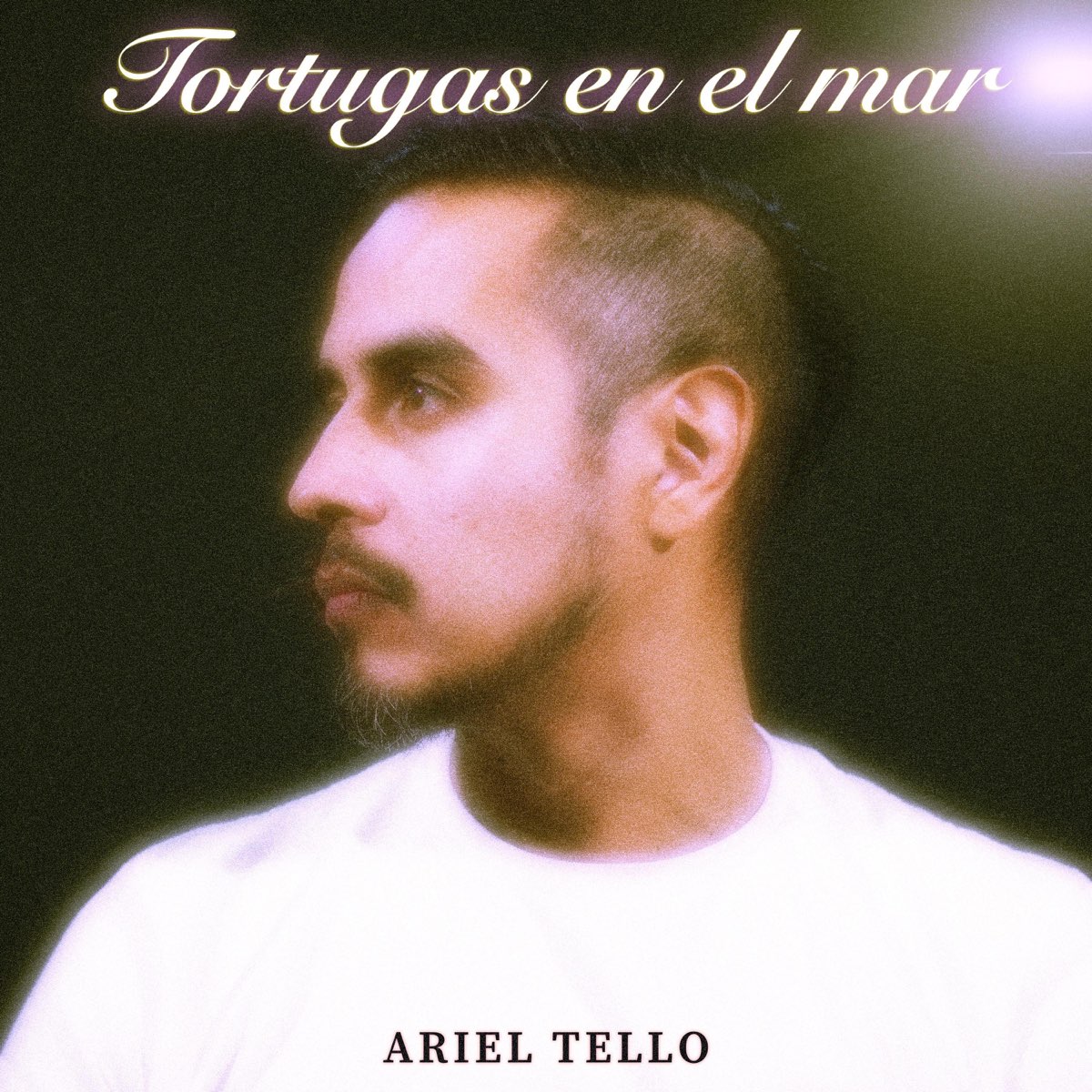 ‎Tortugas en el mar - Single - Album by Ariel Tello - Apple Music