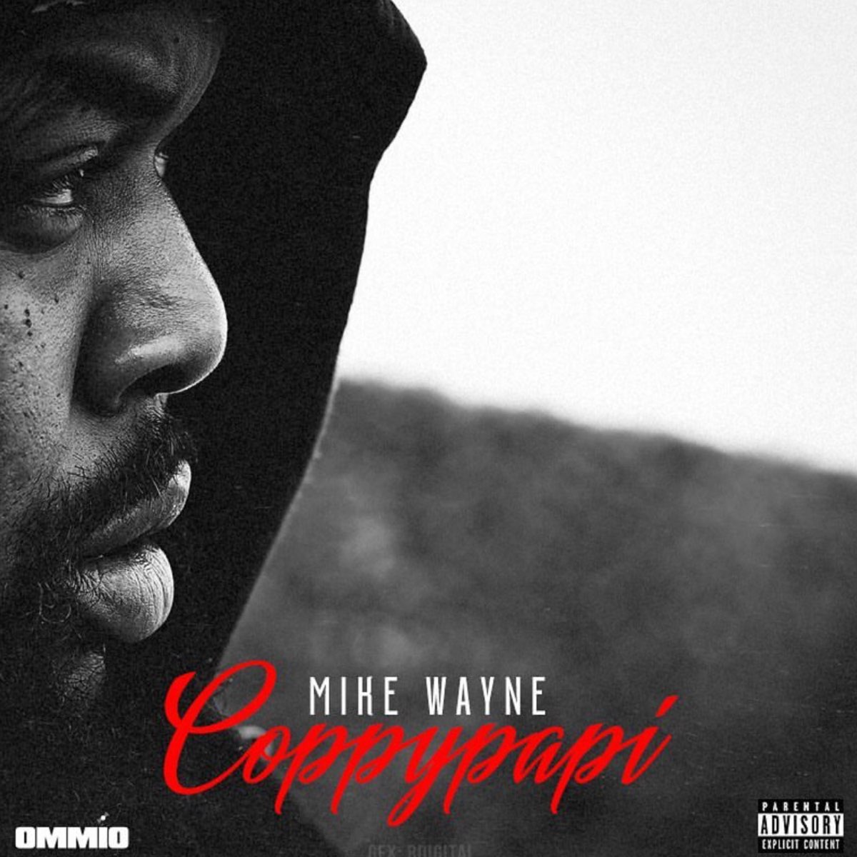 ‎Coppypapi – Album par Mike Wayne – Apple Music