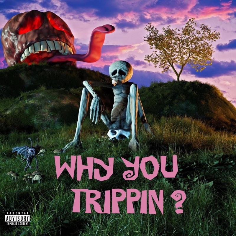 Why You Trippin? - baby Cee: Song Lyrics, Music Videos & Concerts