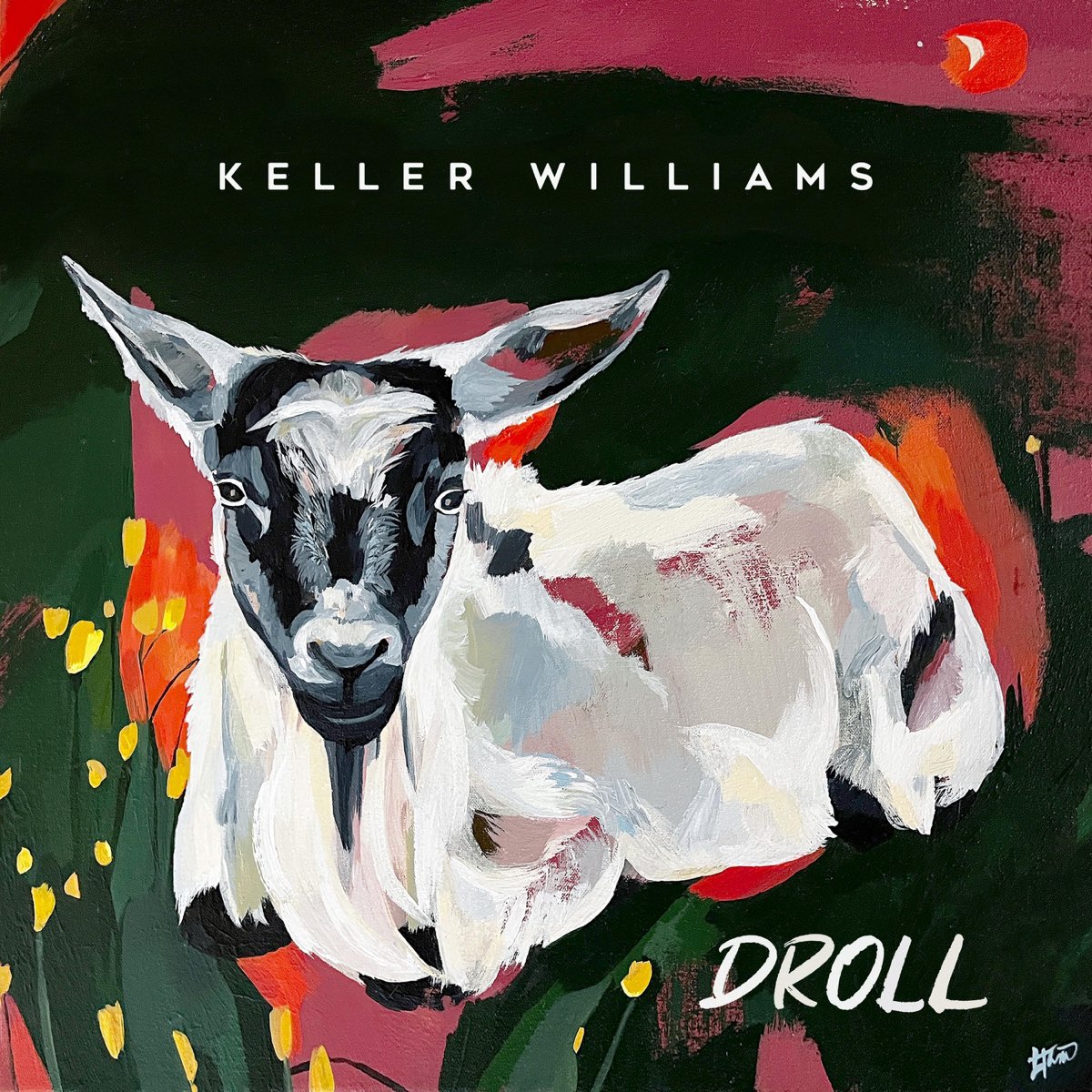 ‎Droll (feat. Gibb Droll) – Album par Keller Williams – Apple Music