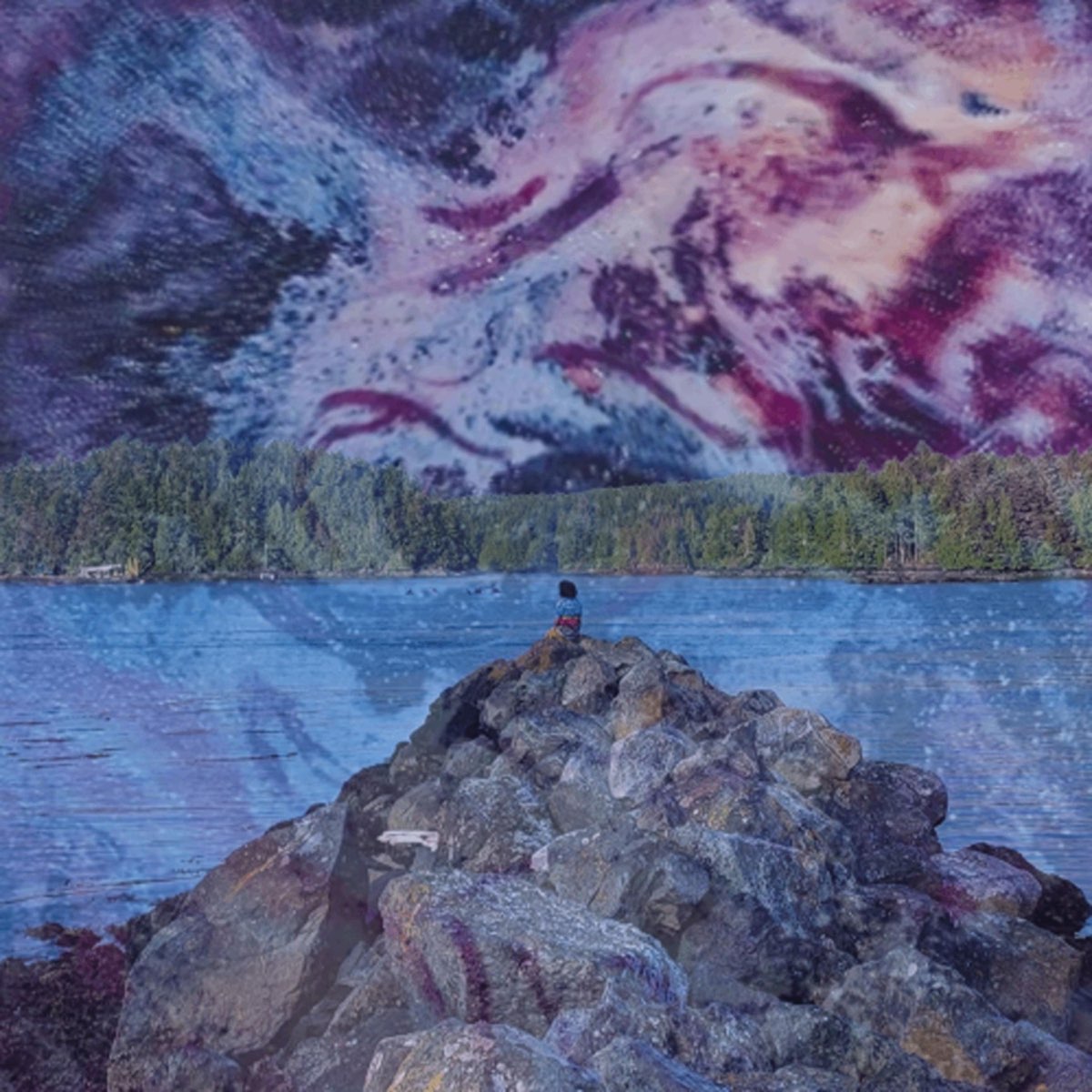 ‎Princess In a Rainforest - Album by JAM!E - Apple Music