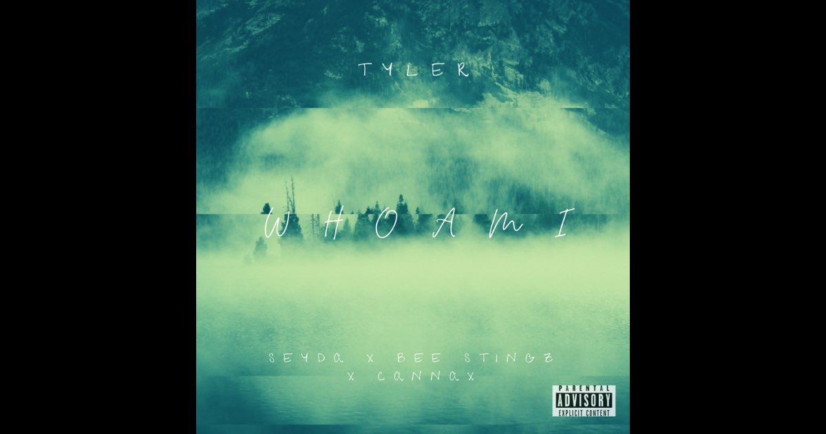 ‎WhoAmI (feat. ThaRealSeYda, Bee Stingzz & Cannax) - Single - OG Tyler ...