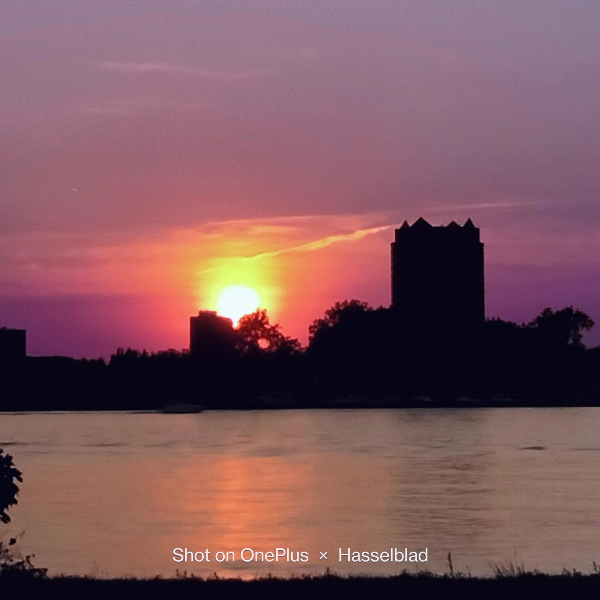 ‎Feel Me - Single - Album by Ej Taylor & Ty Godde - Apple Music