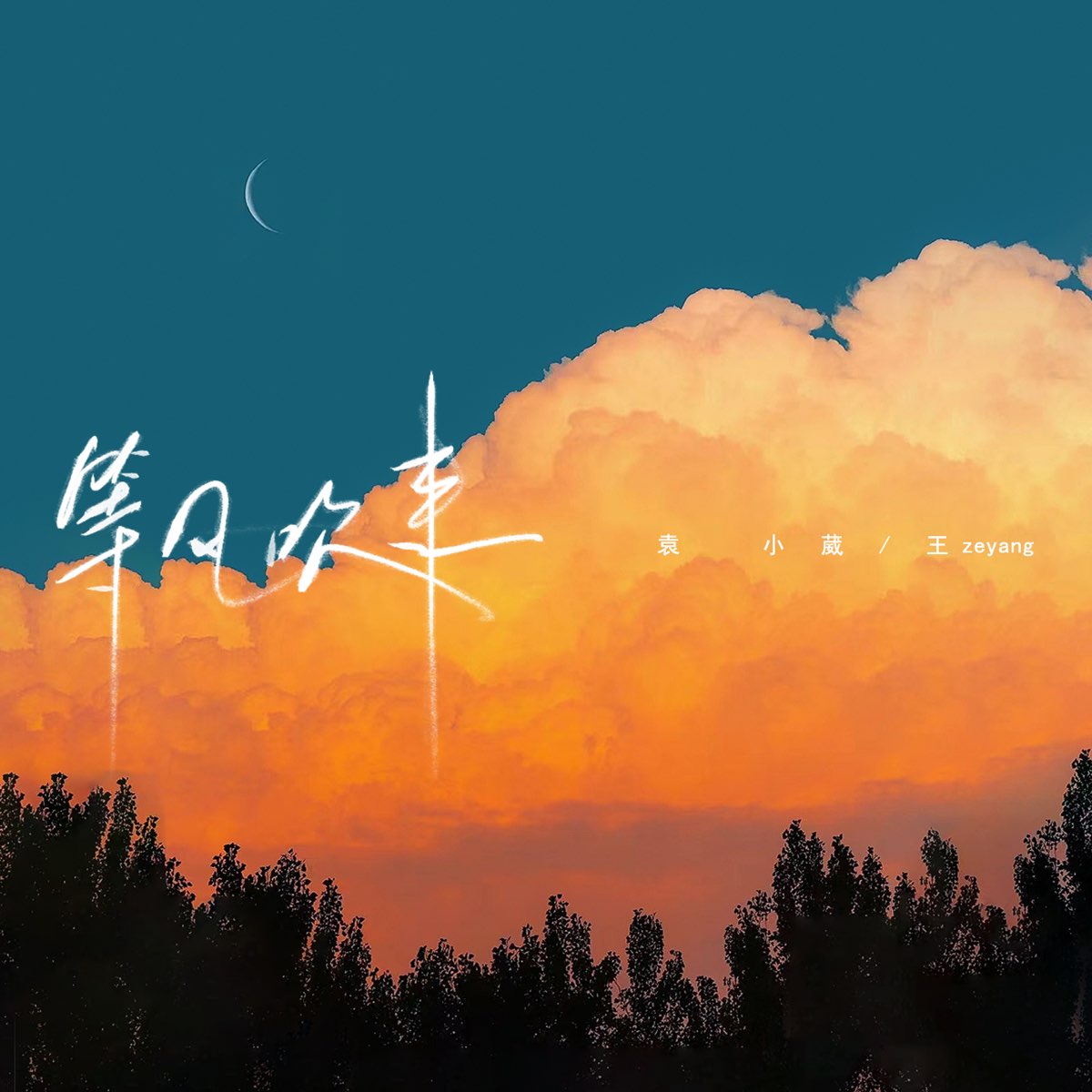 ‎等风吹来 - Single - Album by Xiaowei Yuan & 王zeyang - Apple Music