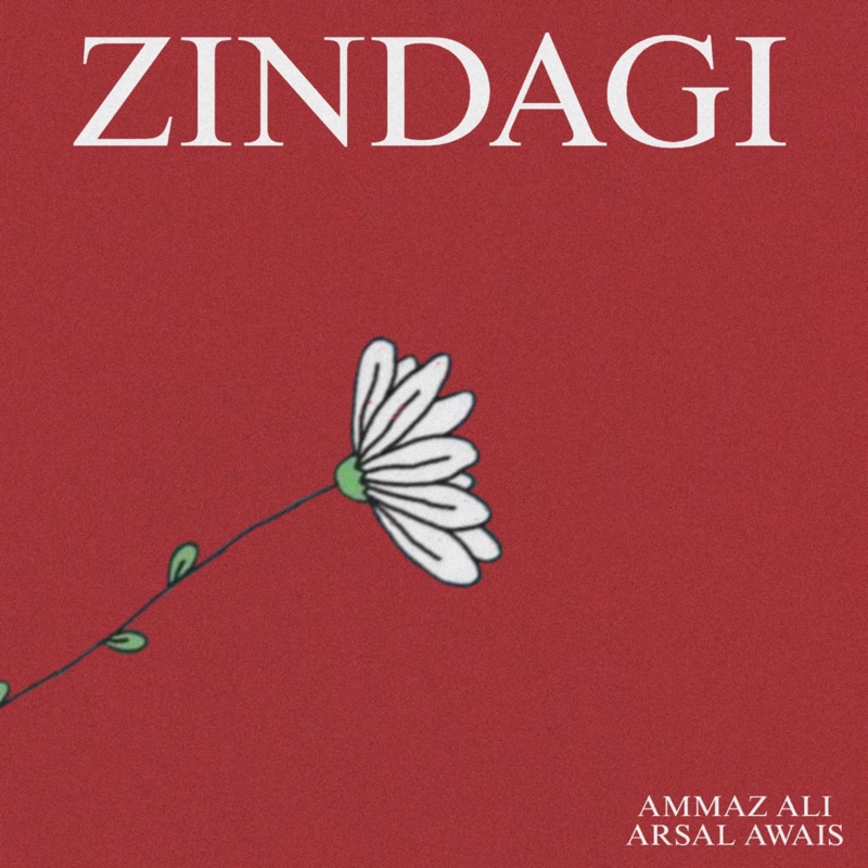 Zindagi - Ammaz Ali & Arsal Awais: Song Lyrics, Music Videos & Concerts