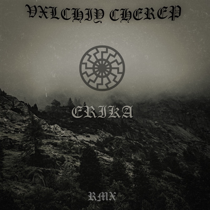 Erika (remix) - VXLCHIY CHEREP: Song Lyrics, Music Videos & Concerts