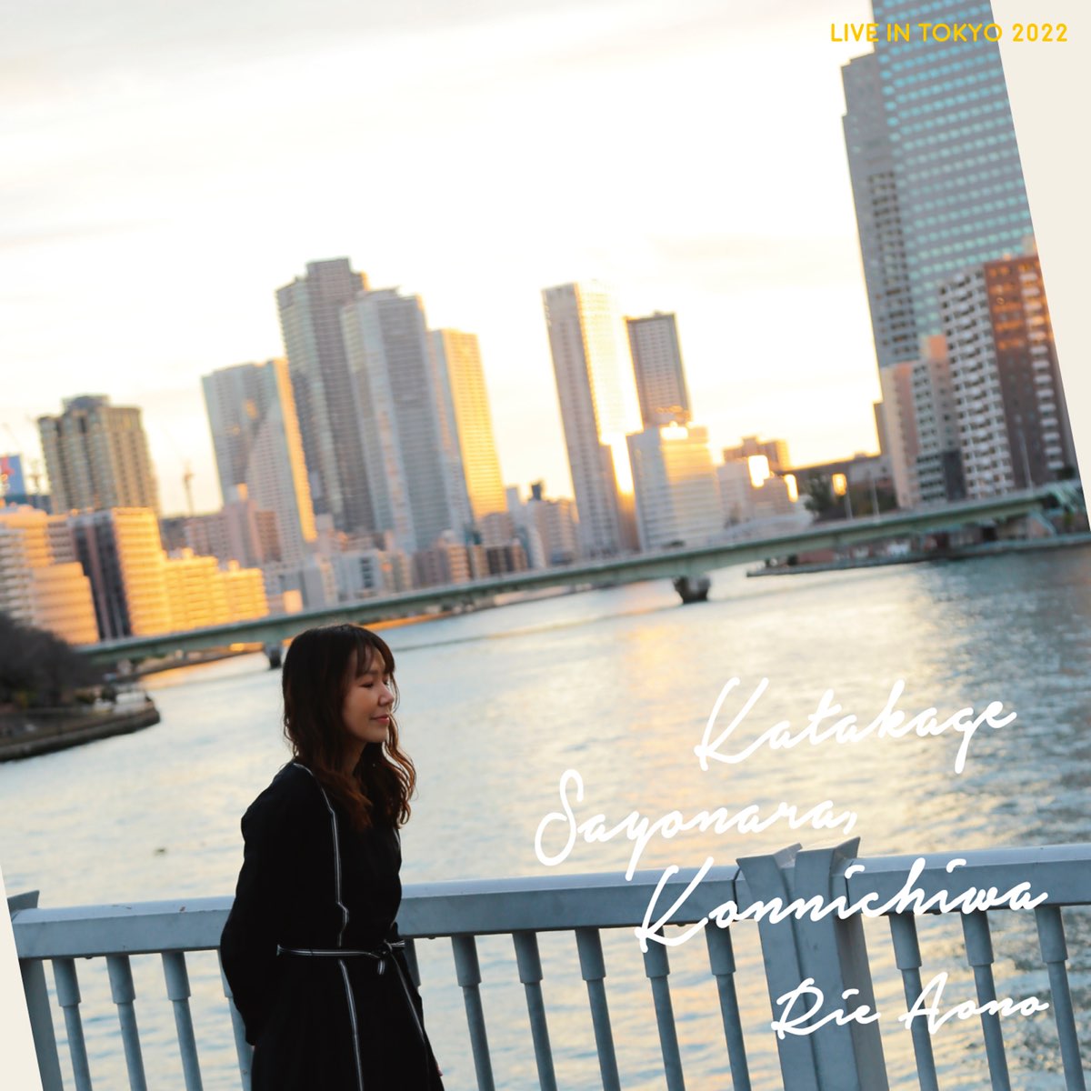 ‎Katakage / Hello, Goodbye - Single by Rie Aono on Apple Music