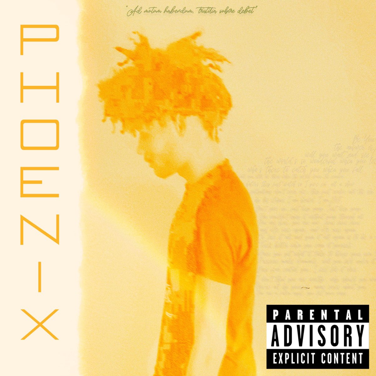 ‎Phoenix - Album by Shaun Perri - Apple Music