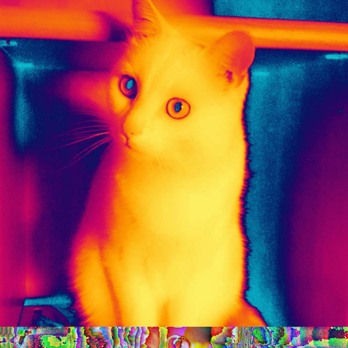 ‎Cat Song (Ghost's Version) [Extended Version] [from the Scratching ...