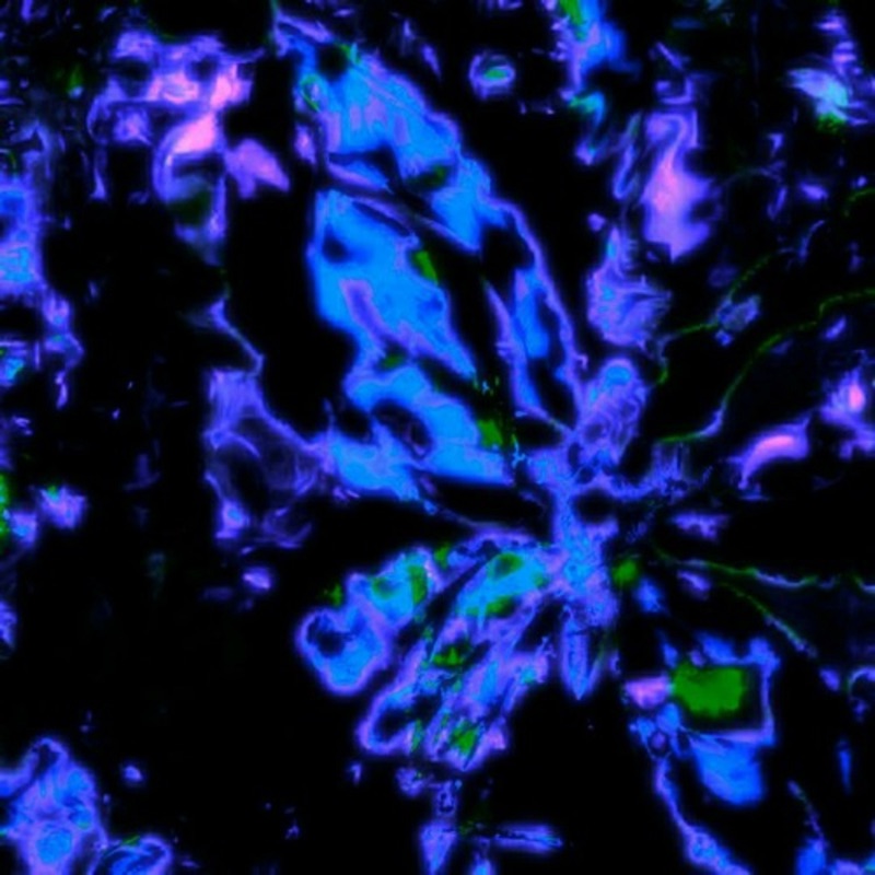 Change - Sephe: Song Lyrics, Music Videos & Concerts