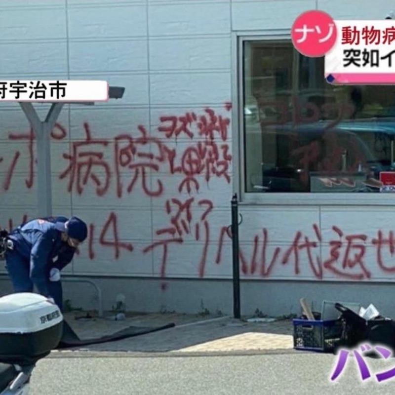 vvvvvb - Osyris Israel: Song Lyrics, Music Videos & Concerts