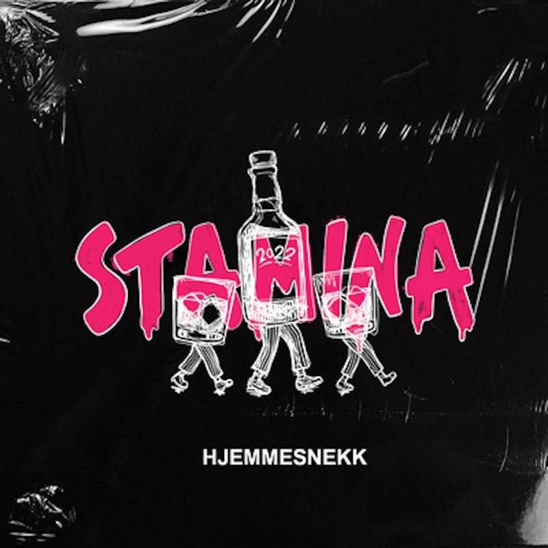 Stamina 2022 (Hjemmesnekk) - STAMINA: Song Lyrics, Music Videos & Concerts
